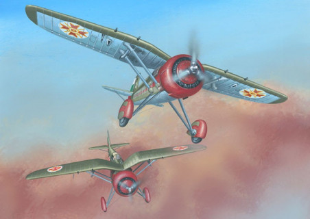 PZL P.24B